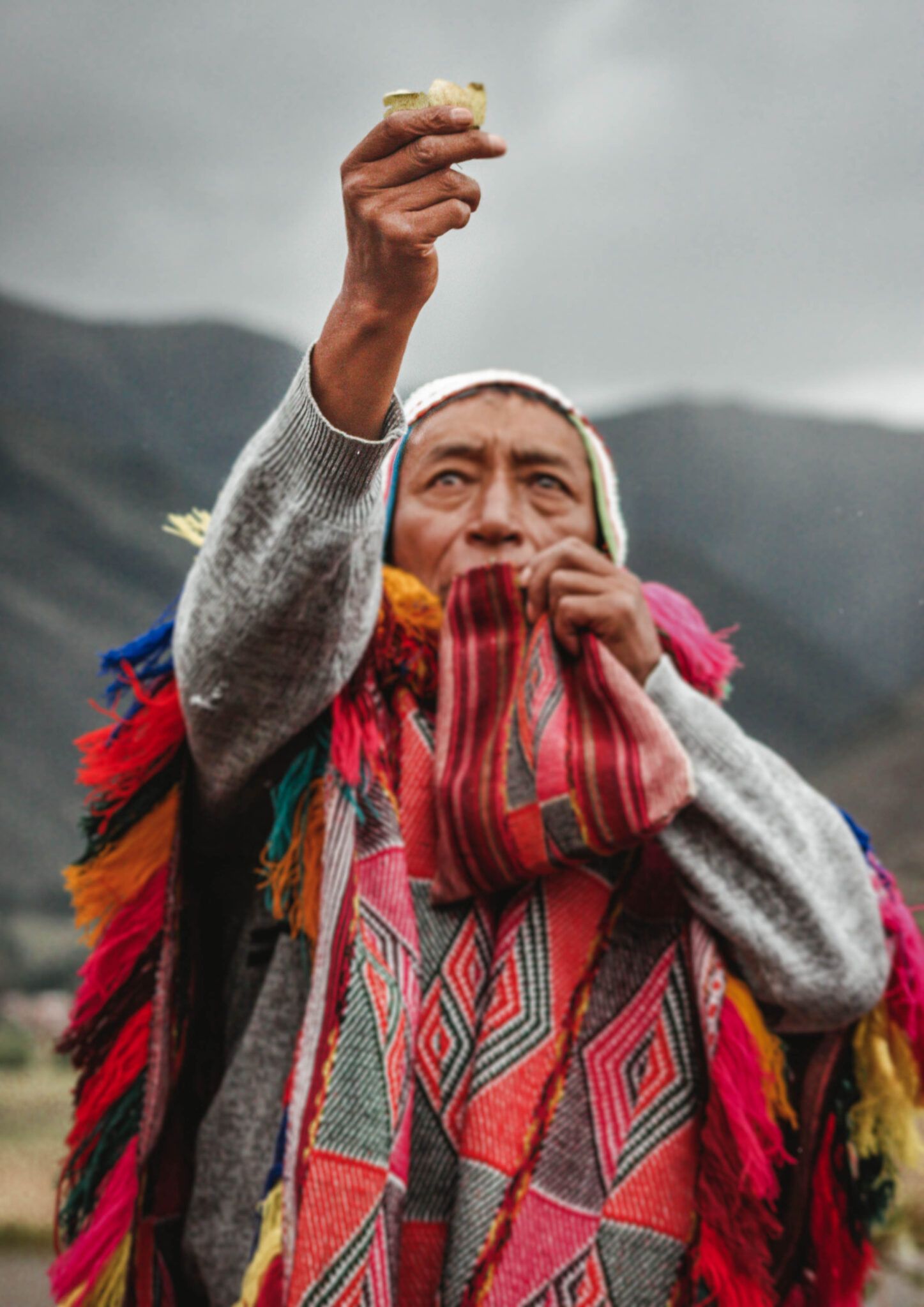 Natural Medicine & Healing Knowledge of the Incas | Blog